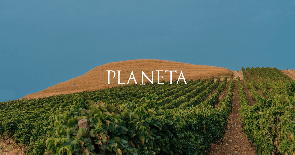 Sicily Winery since 1694 - Planeta